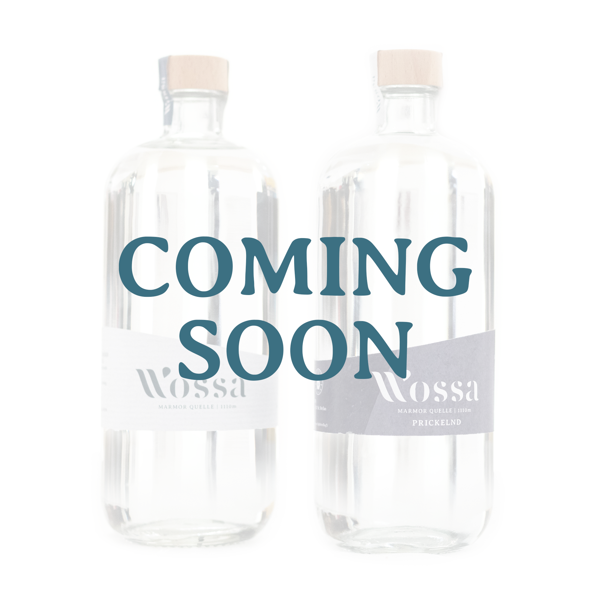 Wossa Box Mix (6 Bottles) - Wossa