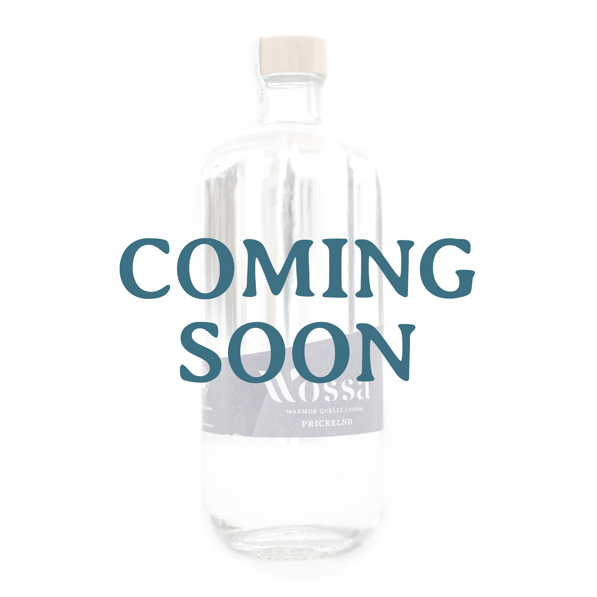 Wossa Box Prickelnd (6 Flaschen) - Wossa